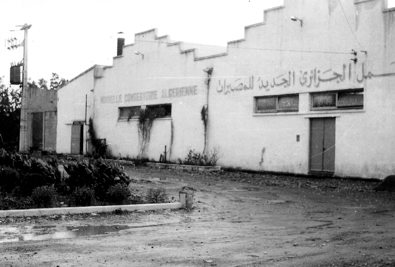 NCA-Rouiba - Family Business Histories